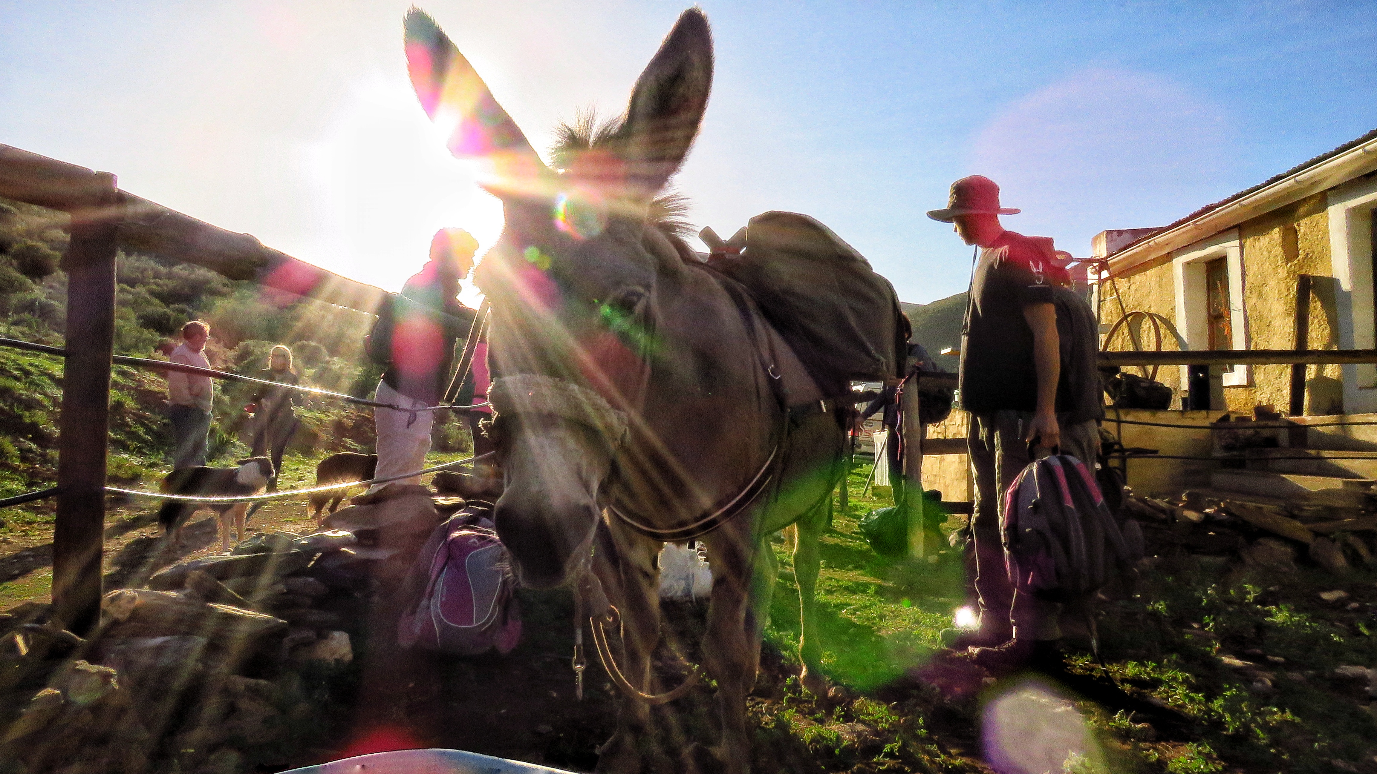 Going to “Hell” with a Donkey – Crossing the Swartberg Mountain ...